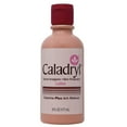 Caladryl Skin Protectant Lotion, Calamine + Itch Reliever, 6 fl oz ...