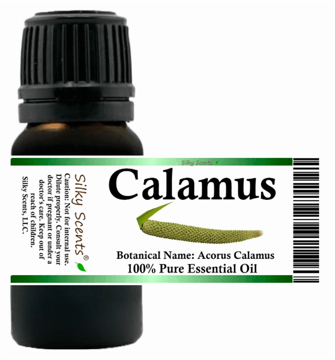 Calamus Essential Oil 5 ml (1/6 fl oz) - 100% Pure and Natural by Silky ...