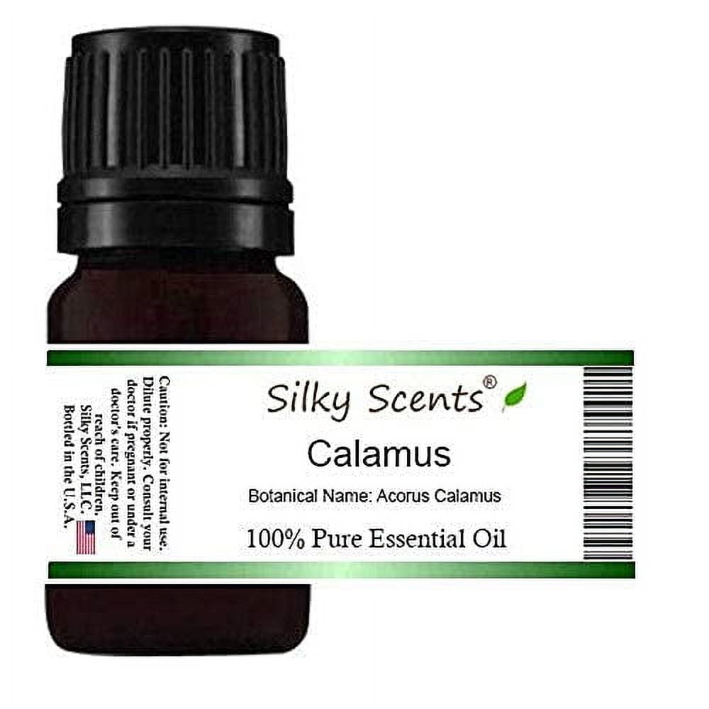 Calamus Essential Oil (Acorus Calamus Sweet Cane Sweet Flag) 100% Pure ...