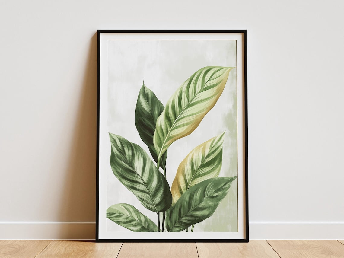 Calathea Leaves Tropical Plant Botanical Modern Illustration Green ...