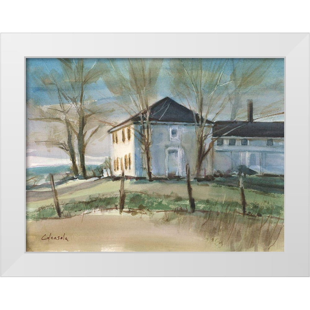 Calcasola, Stephen 24x19 White Modern Wood Framed Museum Art Print ...