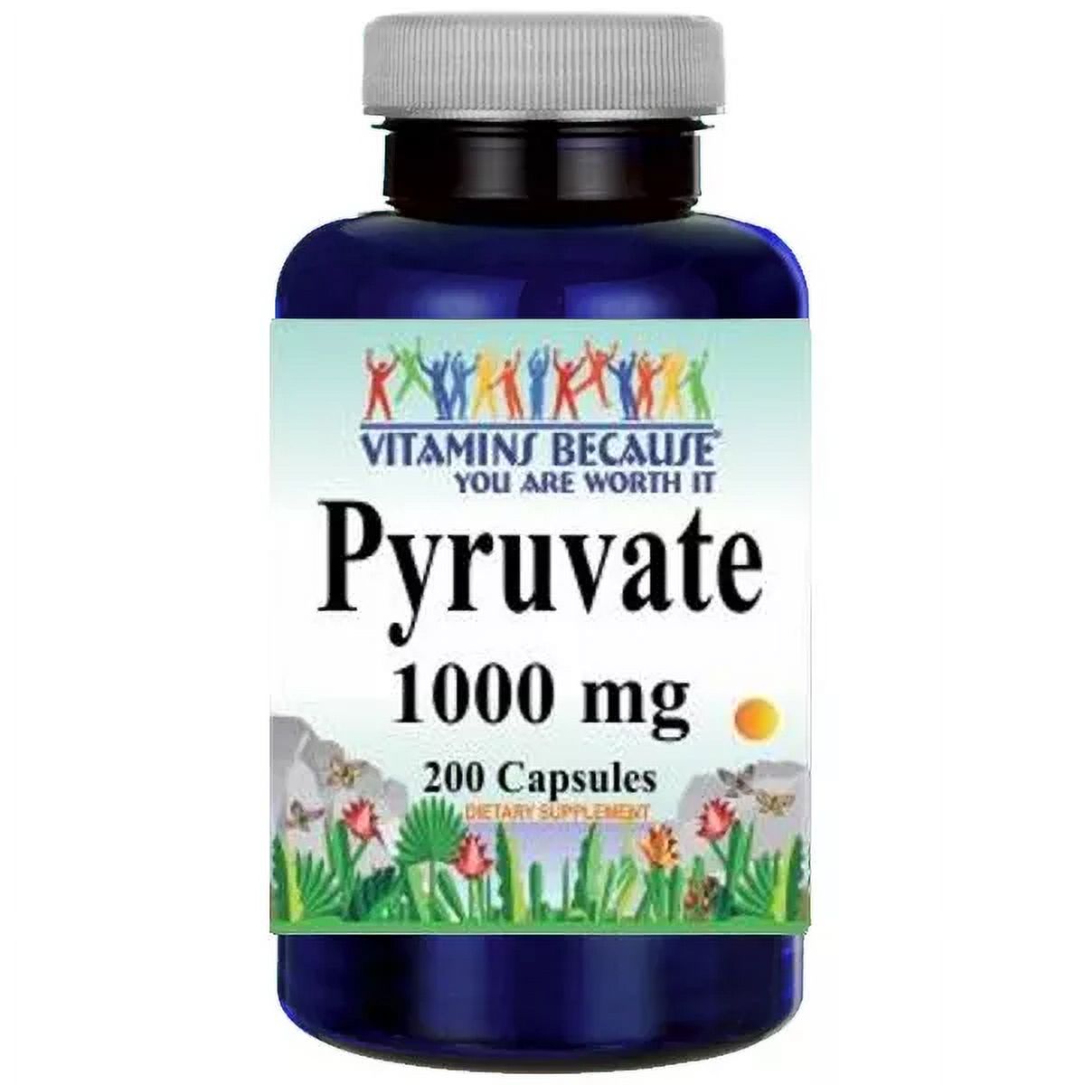 Calcium_Pyruvate_1000Mg_200Caps_By_Vitamins_Because - Walmart.com
