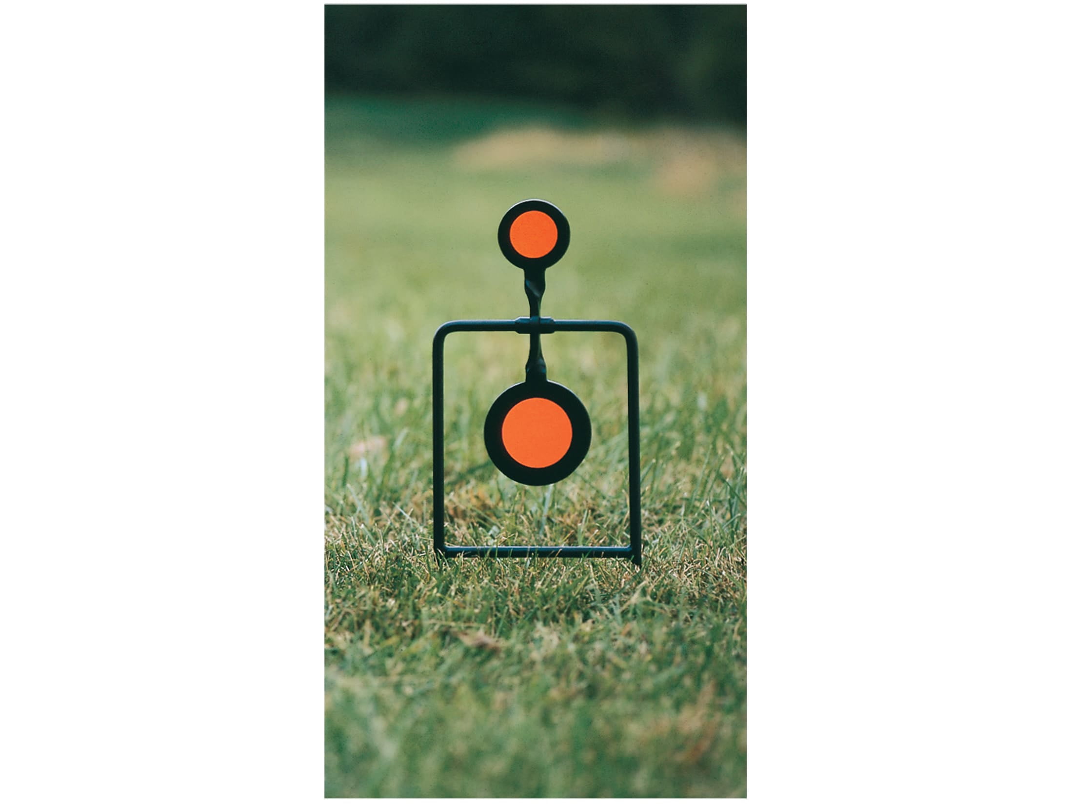 Caldwell Plink N' Swing Swinging Target, Twin-Spin, Steel, Black ...