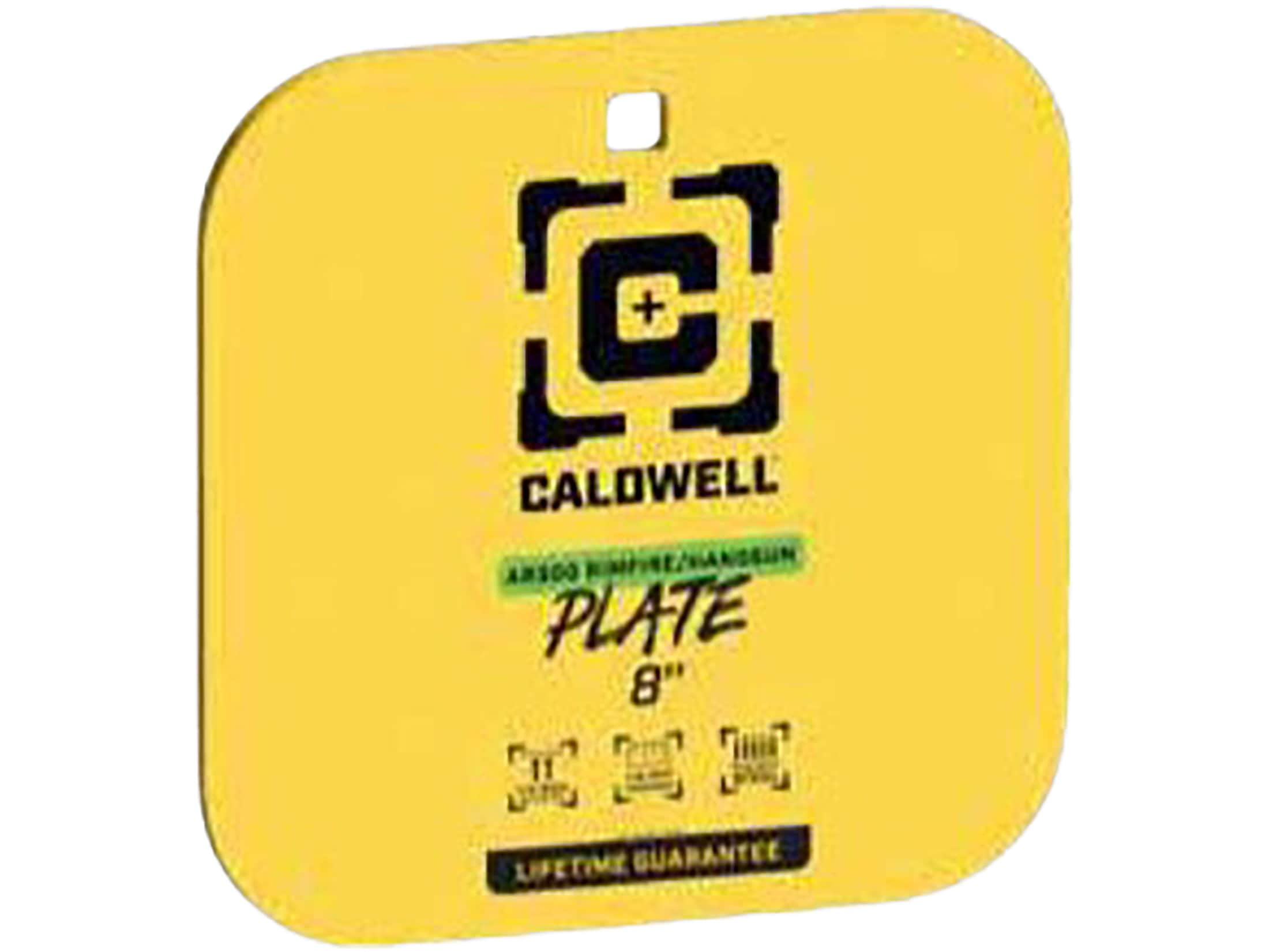 Caldwell Rimfire/Handgun Steel Target 8" Gong 1/4" AR500 Steel ...