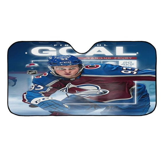 Cale and Makar Auto Sun Shade 55" x 30" - Walmart.com
