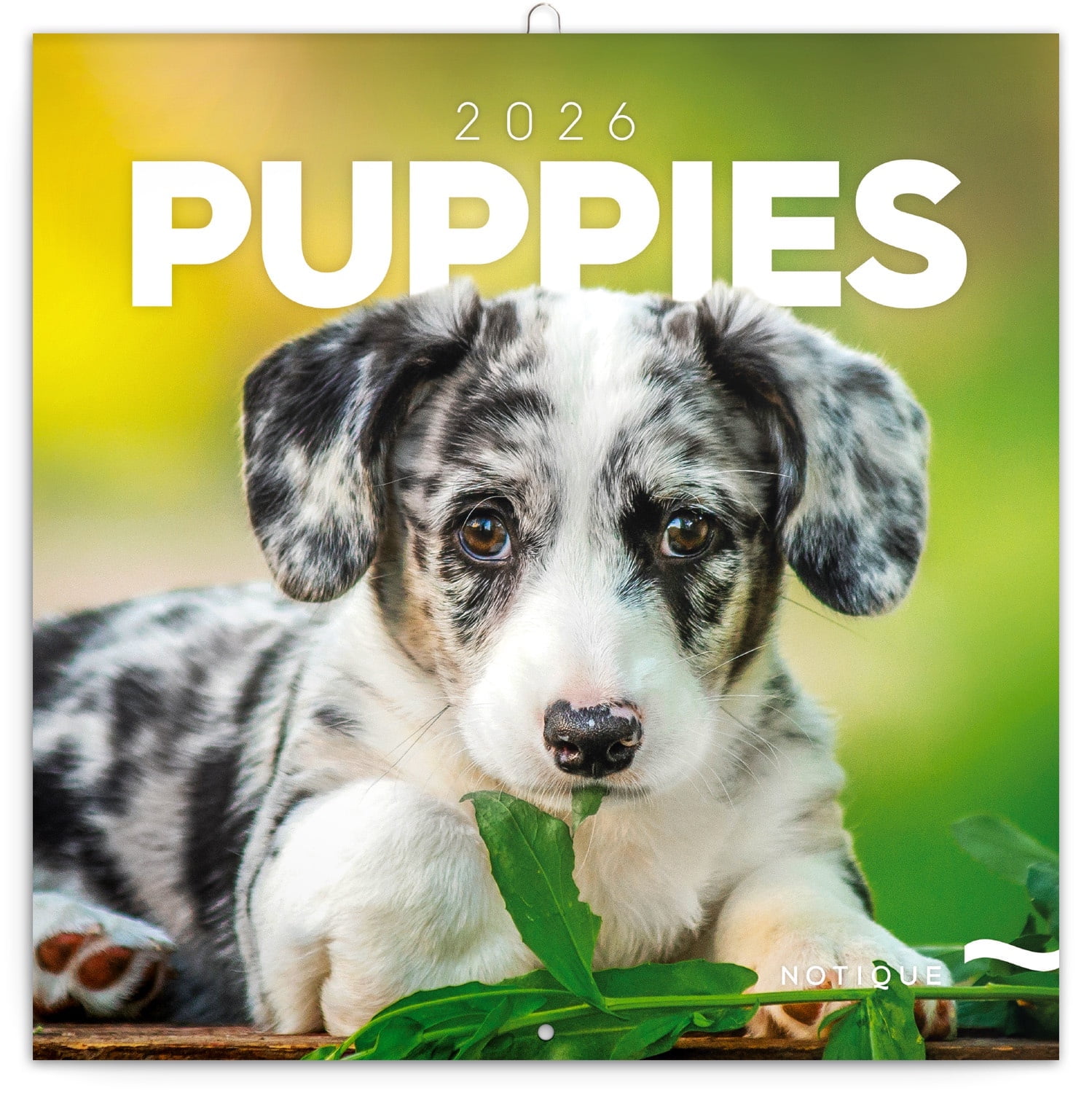 Calendar 2025-2026 Playful Puppies Wall Planner, Lovable Dog Organizer ...