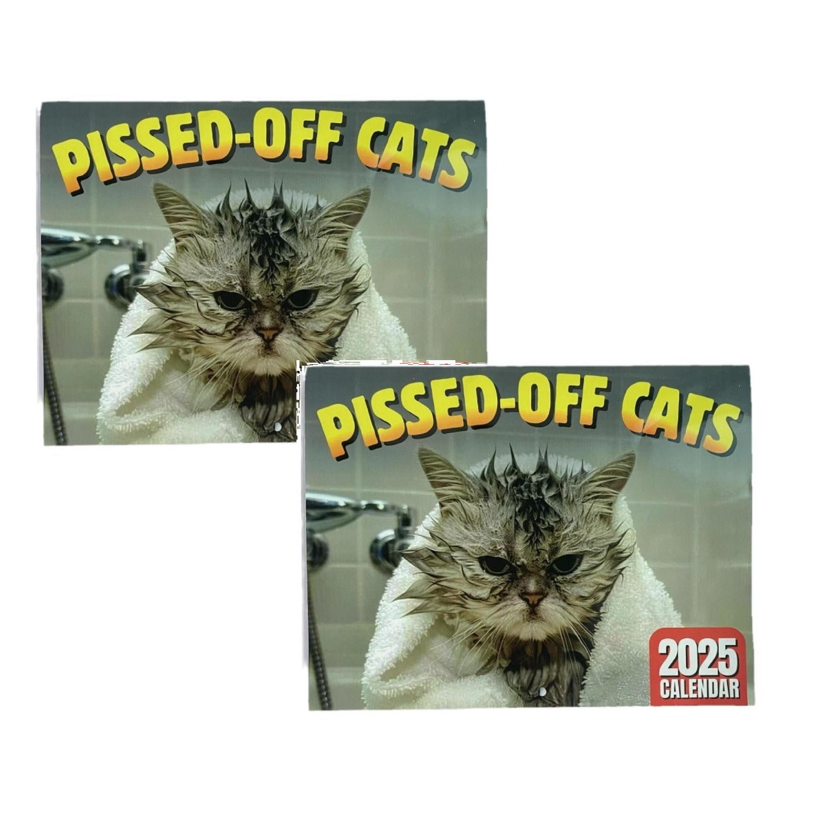 Calendar 2025 Clearance! 2025 Peed off Cats Calendar Funny Cat Themed ...