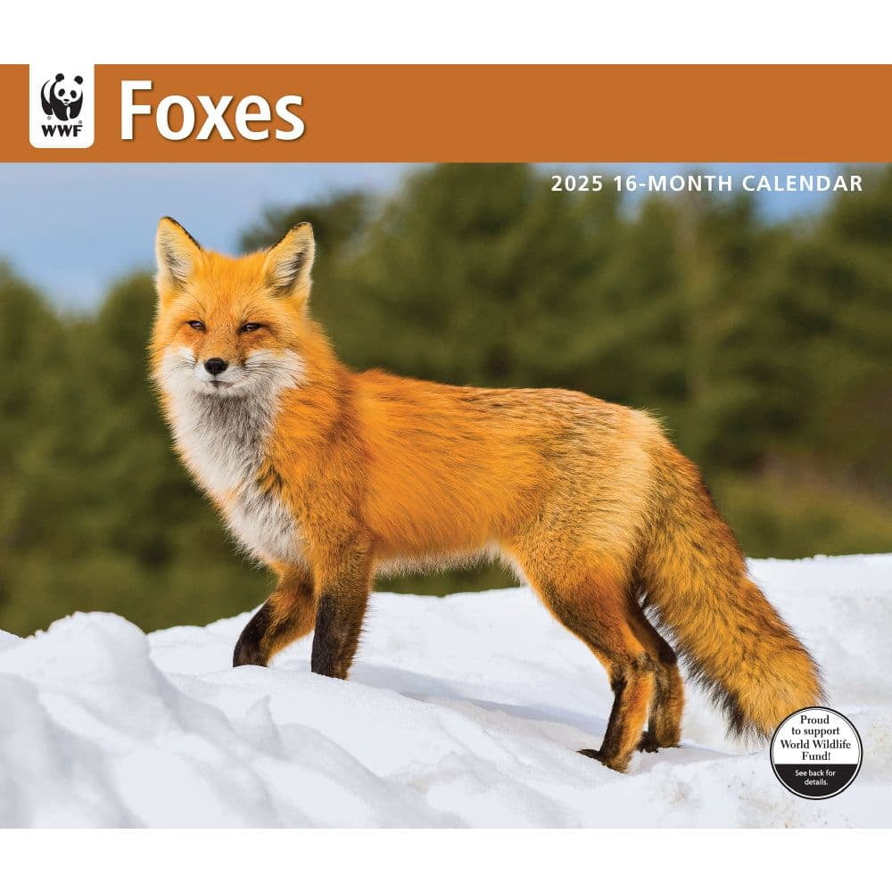 Calendar Ink, Foxes WWF 2025 Wall Calendar - Walmart.com