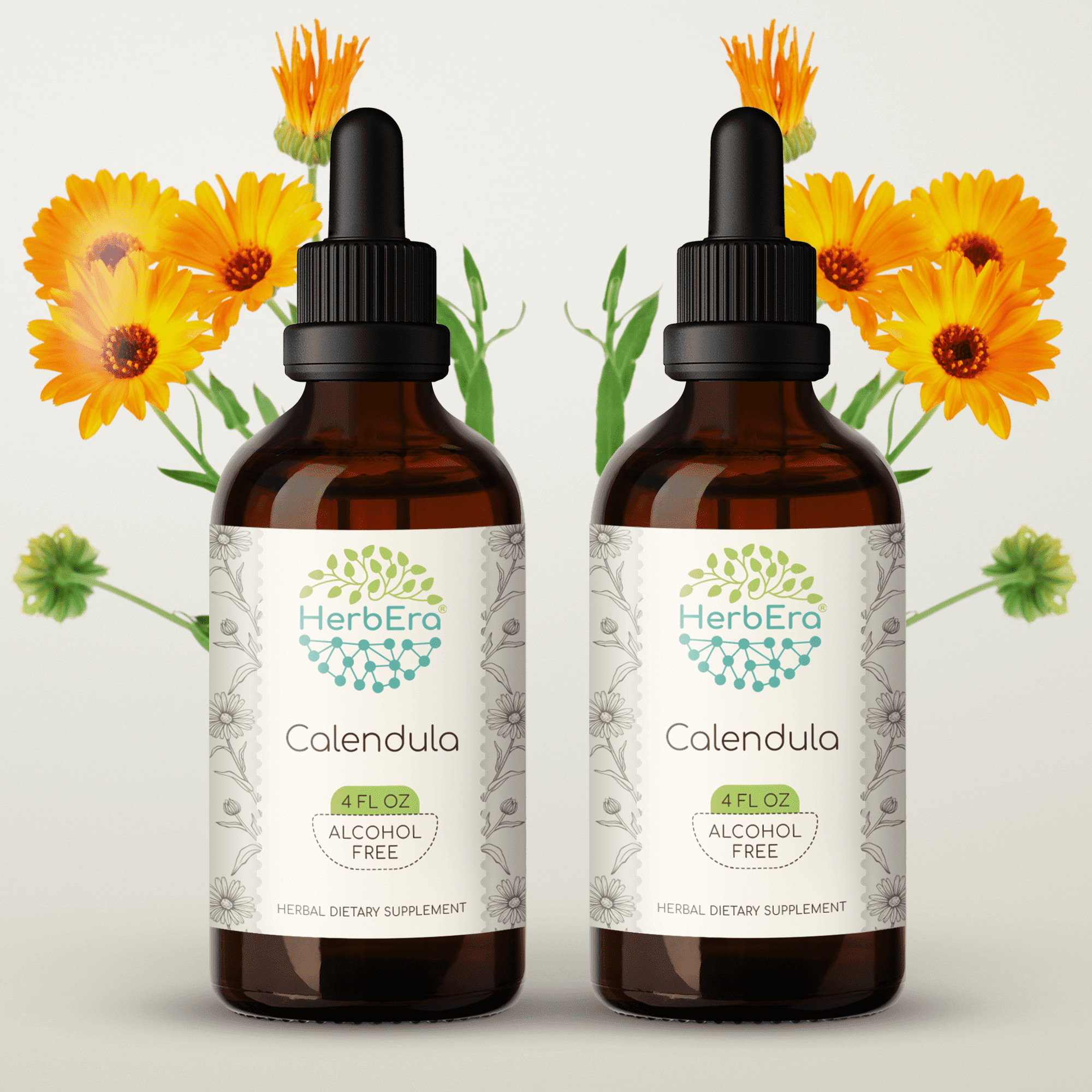 Calendula Alcohol-FREE Herbal Extract Tincture, Super-Concentrated ...