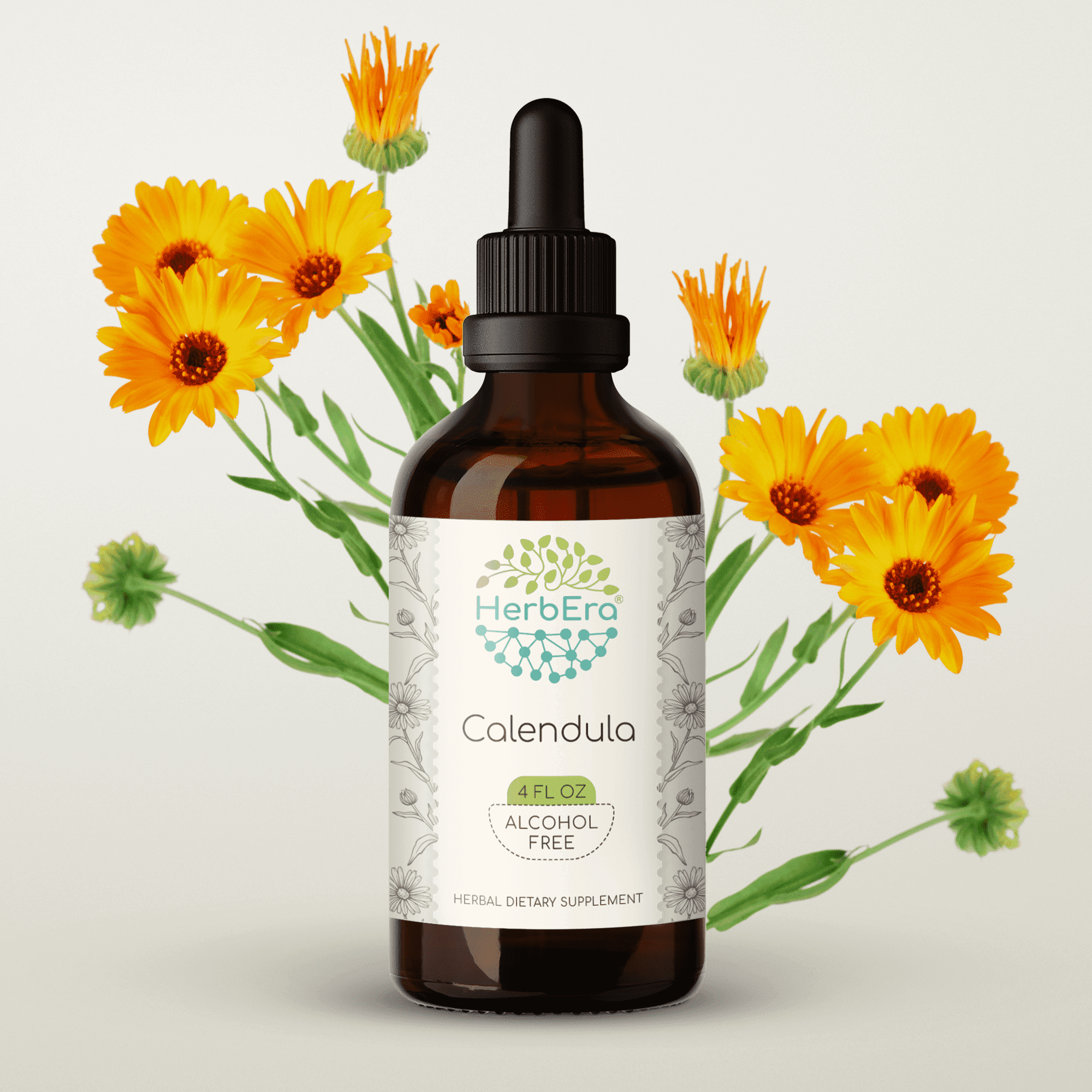 HerbEra Calendula Tincture, Herbal Dietary Supplement for Skin Support ...