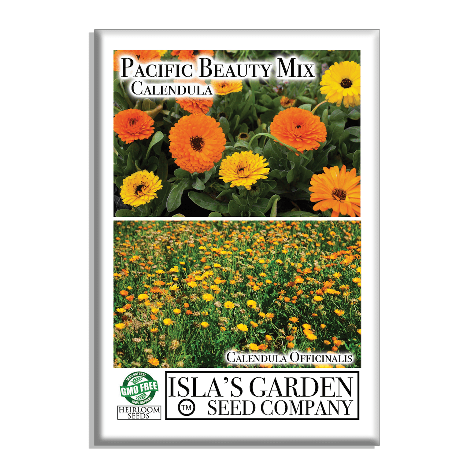 Calendula Dwarf Pacific Beauty Mix Flower Seeds, 250 Flower Seeds Per ...