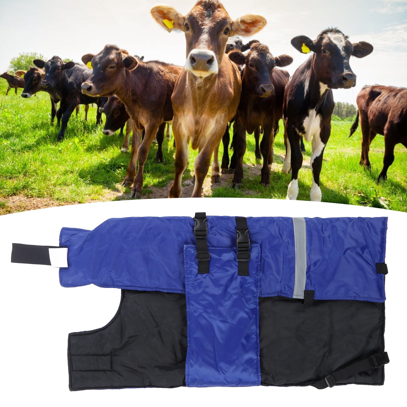 Calf Coat, Warm Oxford Fabric Vest For Newborn Calves, Weather ...
