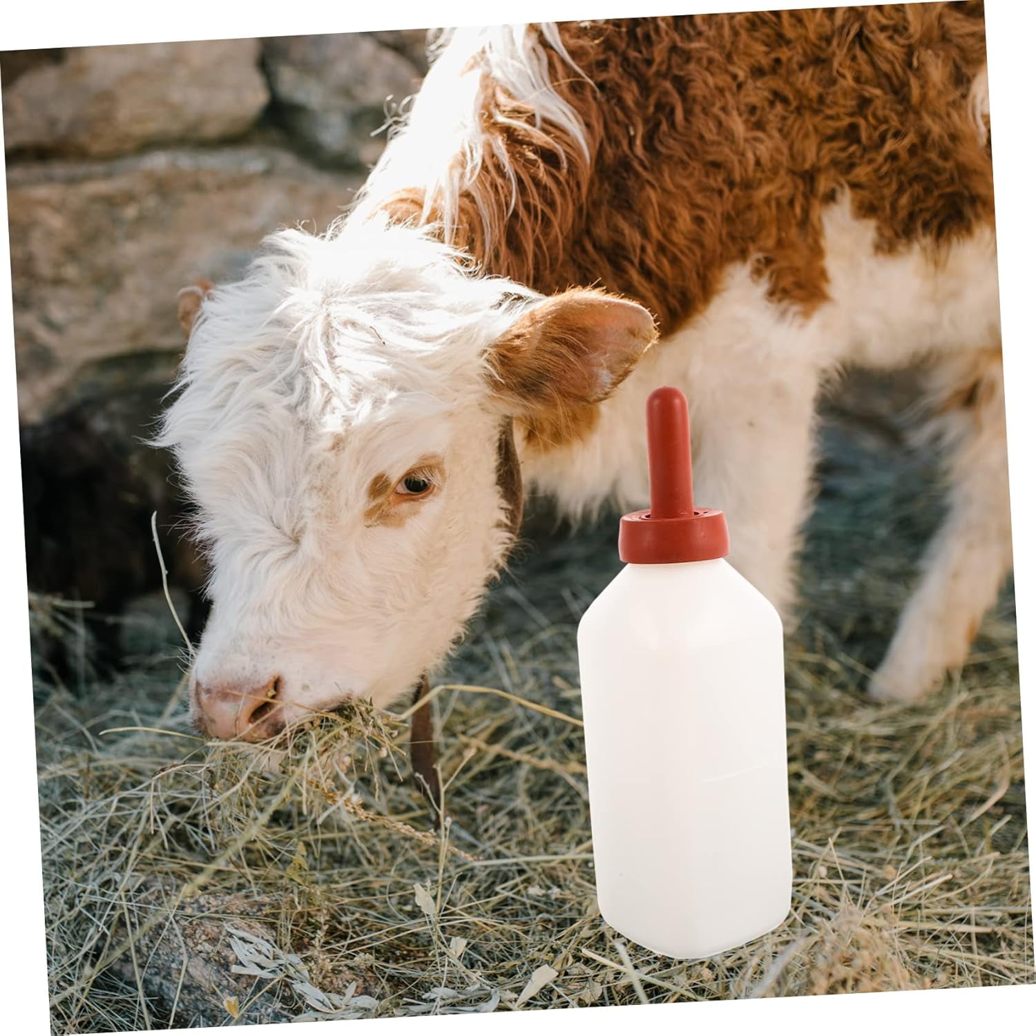 Calf Feeding Bottle Goat Milk Feeder Bottle Lamb Emptying Kit Lamb Milk ...