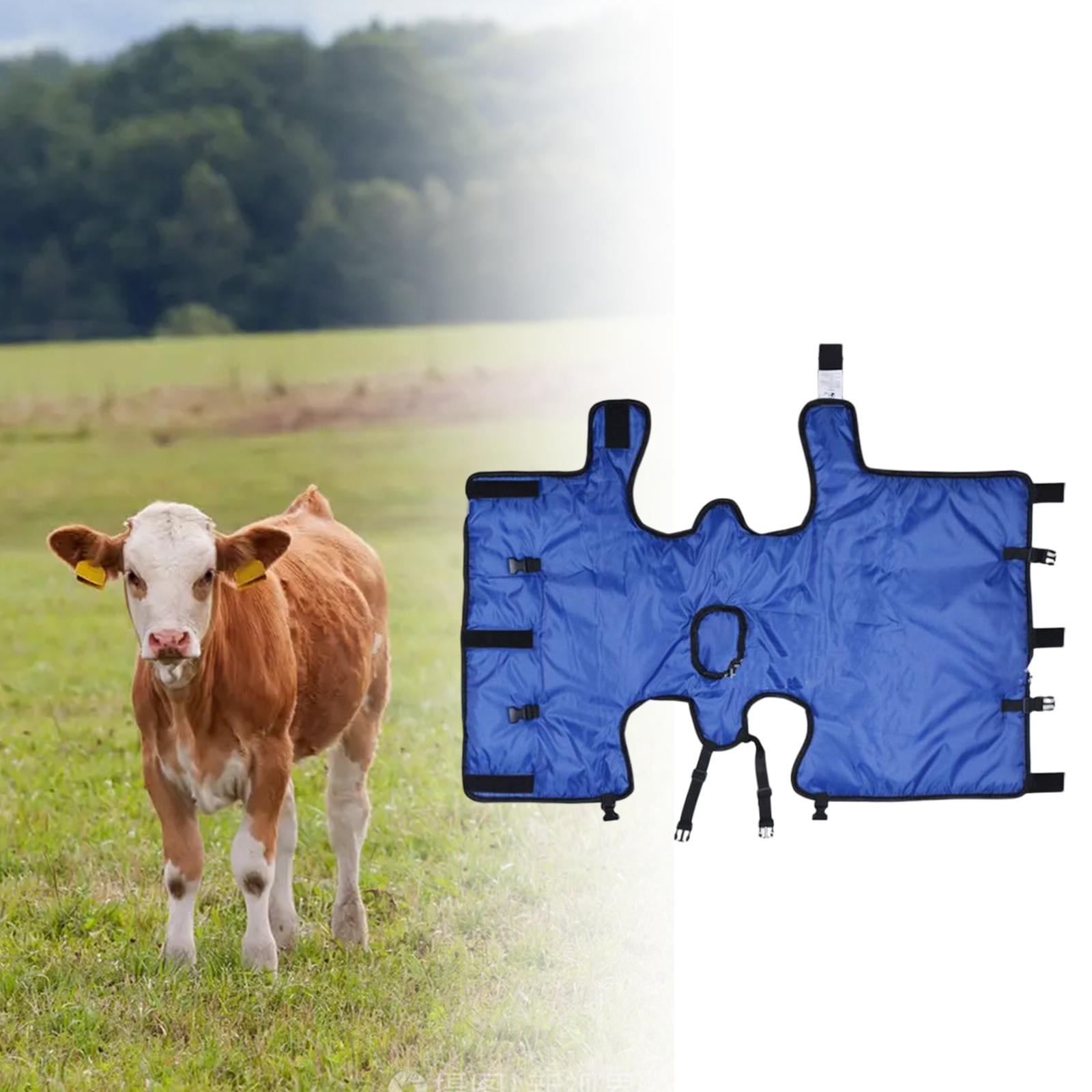 Calf Warm Clothes Winter Coat Apparel Windproof Washeble Adjustable ...