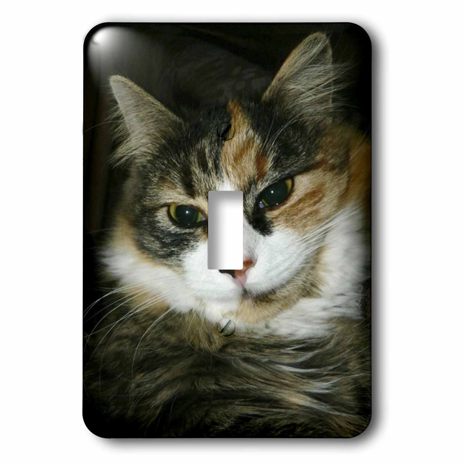 Calico Cat Closeup single toggle switch lsp-49304-1 - Walmart.com