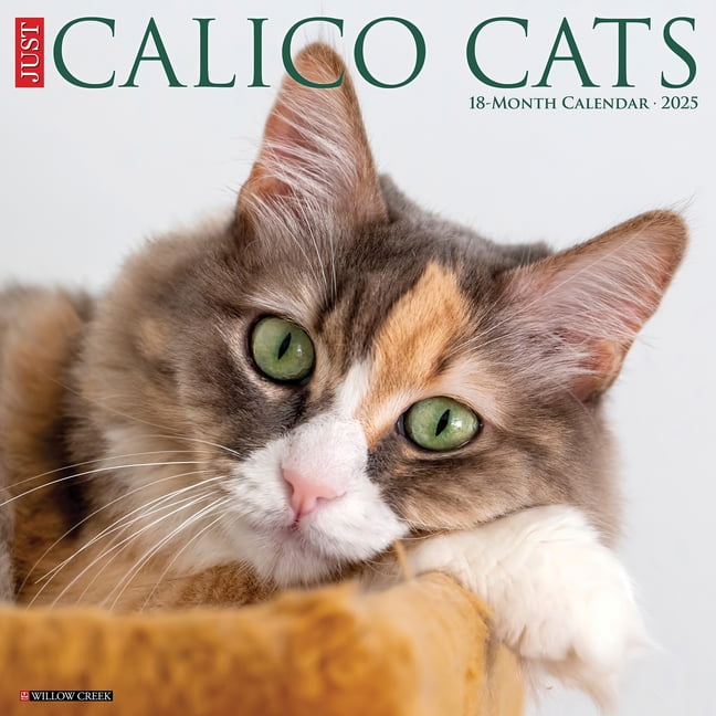 Calico Cats 2025 Wall Calendar - Walmart.com