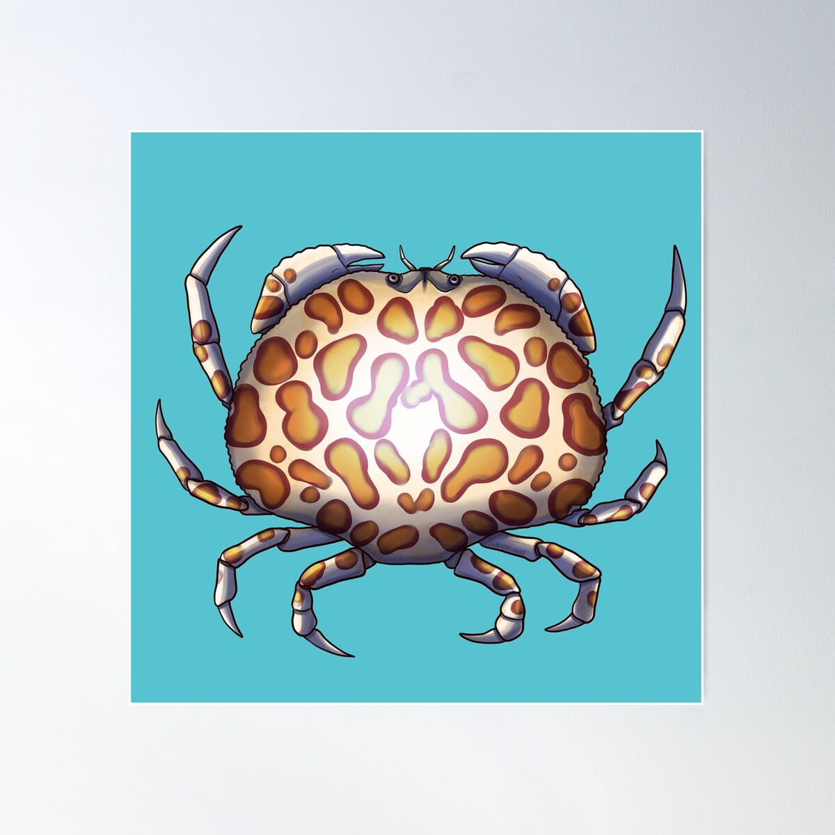 Calico Crab Poster Wall Art, Modern Wall Decor For Living Room Bedroom ...
