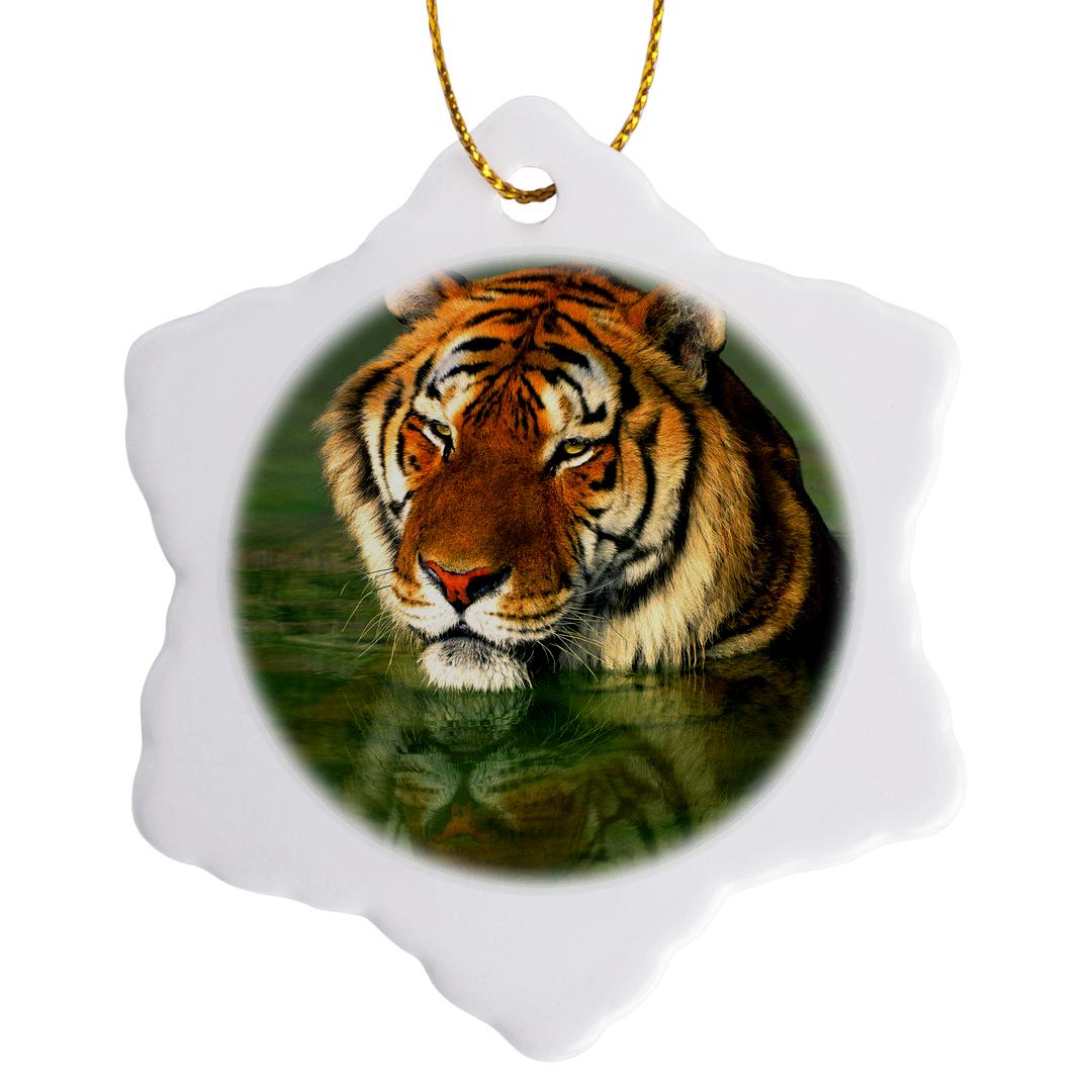 3drose, California, Bengal Tiger at Wildlife Waystation - Us05 Bja0215 ...