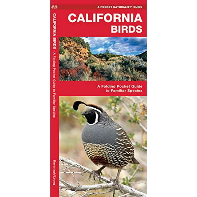 Pre-Owned California Birds: A Folding Pocket Guide to Familiar Species ...