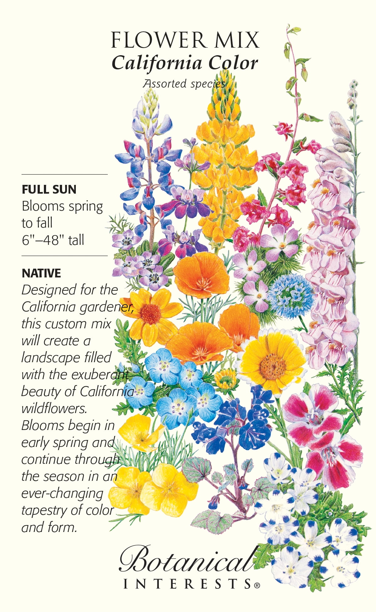 California Color Native Wildflower Seeds Mix - Full Sun Flower, 10 ...