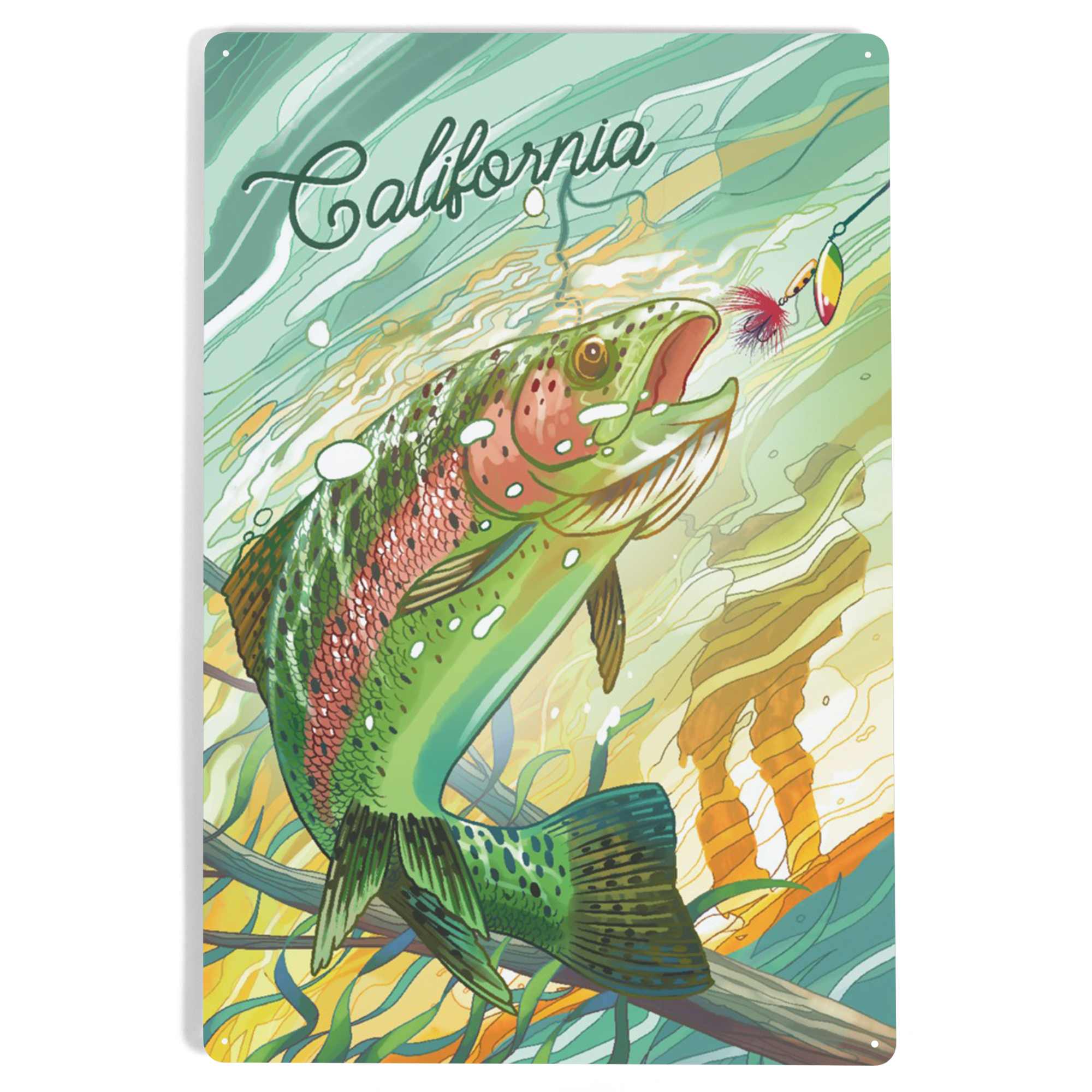 California, Fishing, Underwater Trout (12x18 Aluminum Art, Indoor ...