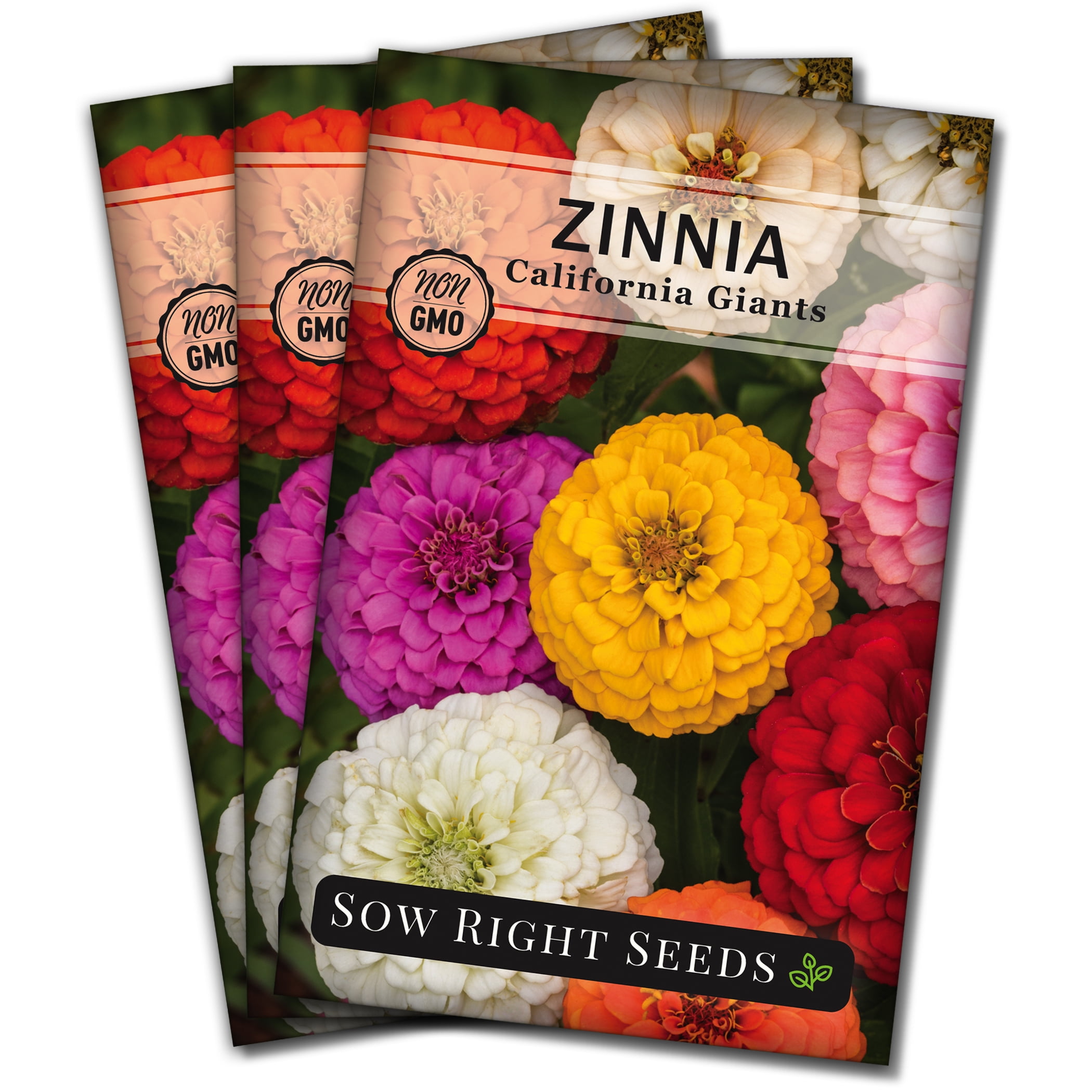 California Giants Zinnia Seeds - Non GMO Heirloom Varieties for your ...