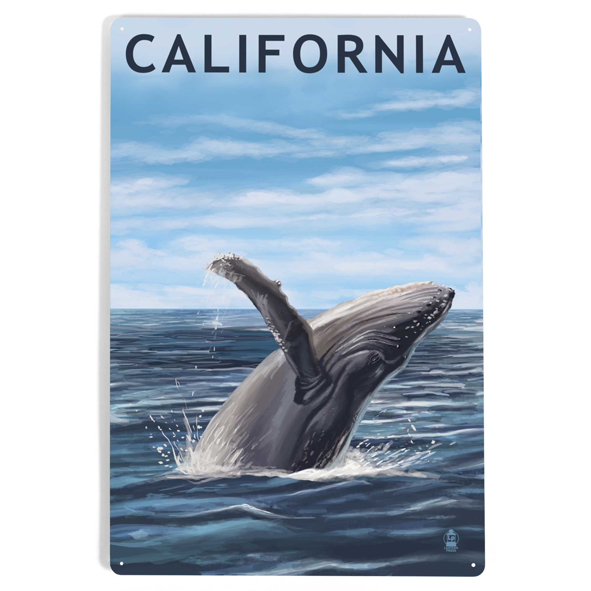 California, Humpback Whale (12x18 Aluminum Art, Indoor Outdoor Metal ...
