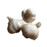 Daylily Nursery Brand California Jumbo Garlic, 3 Bulbs for Fall ...