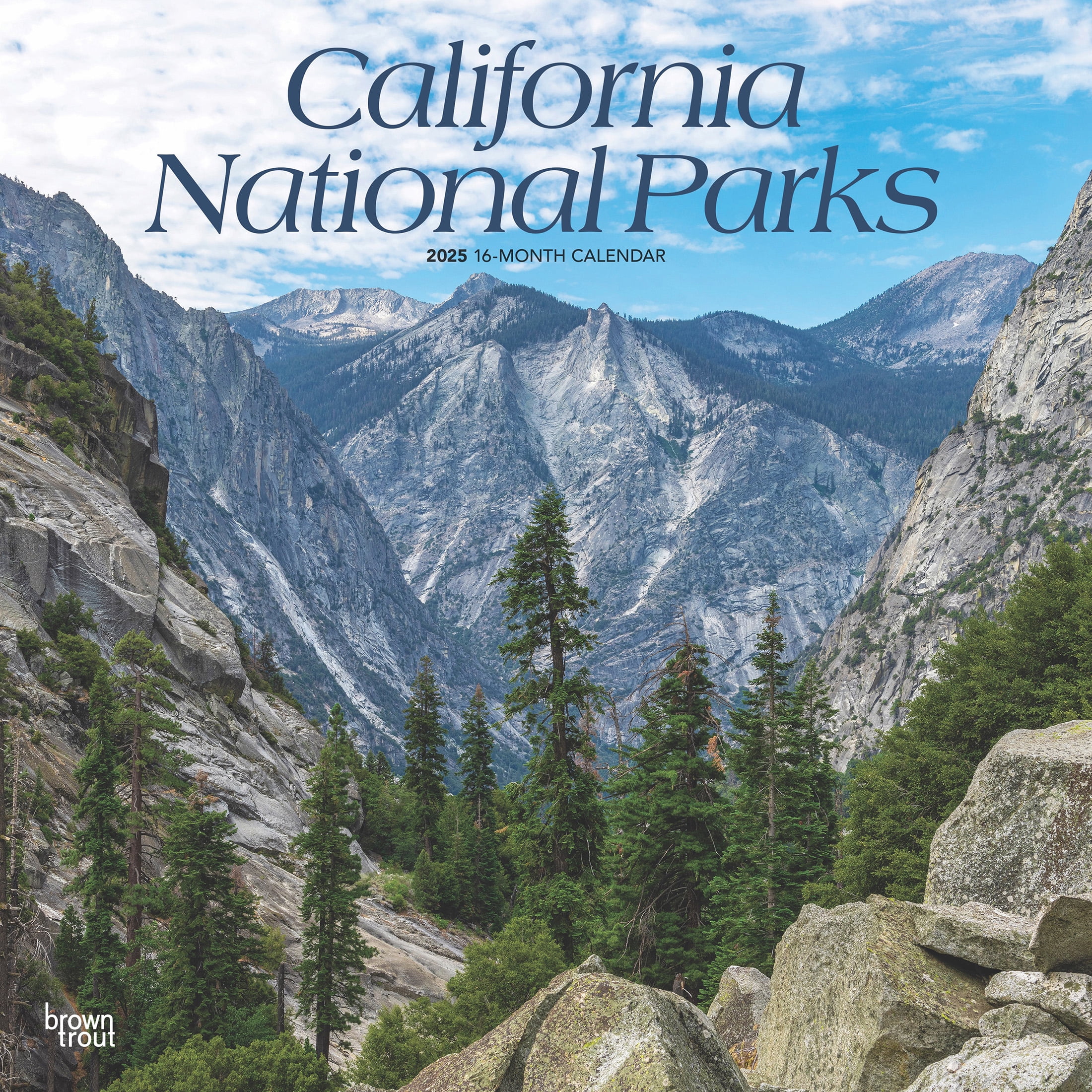 California National Parks 2025 by Browntrout - Walmart.com