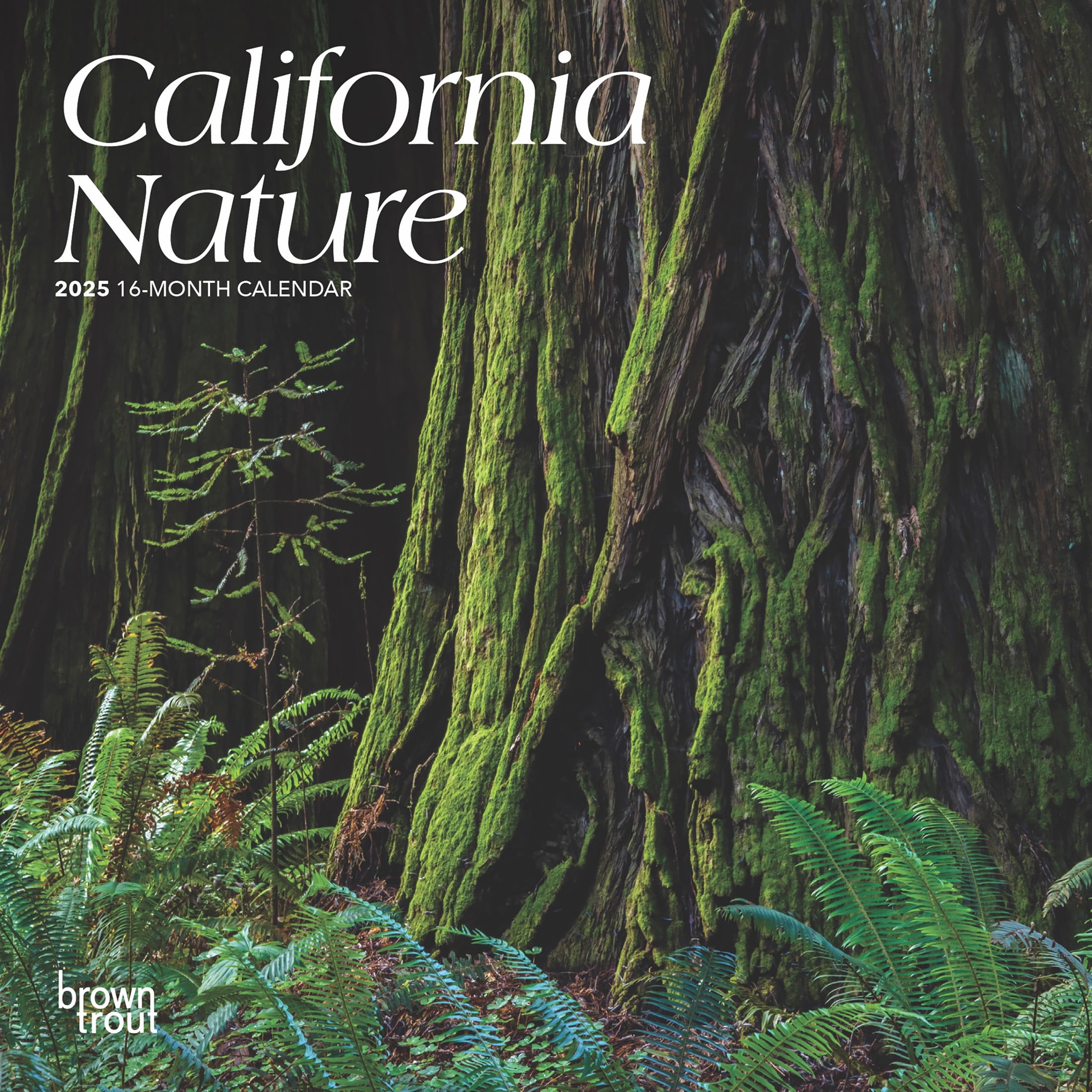 California Nature | 2025 7x14" (Hanging) Mini Wall Calendar ...