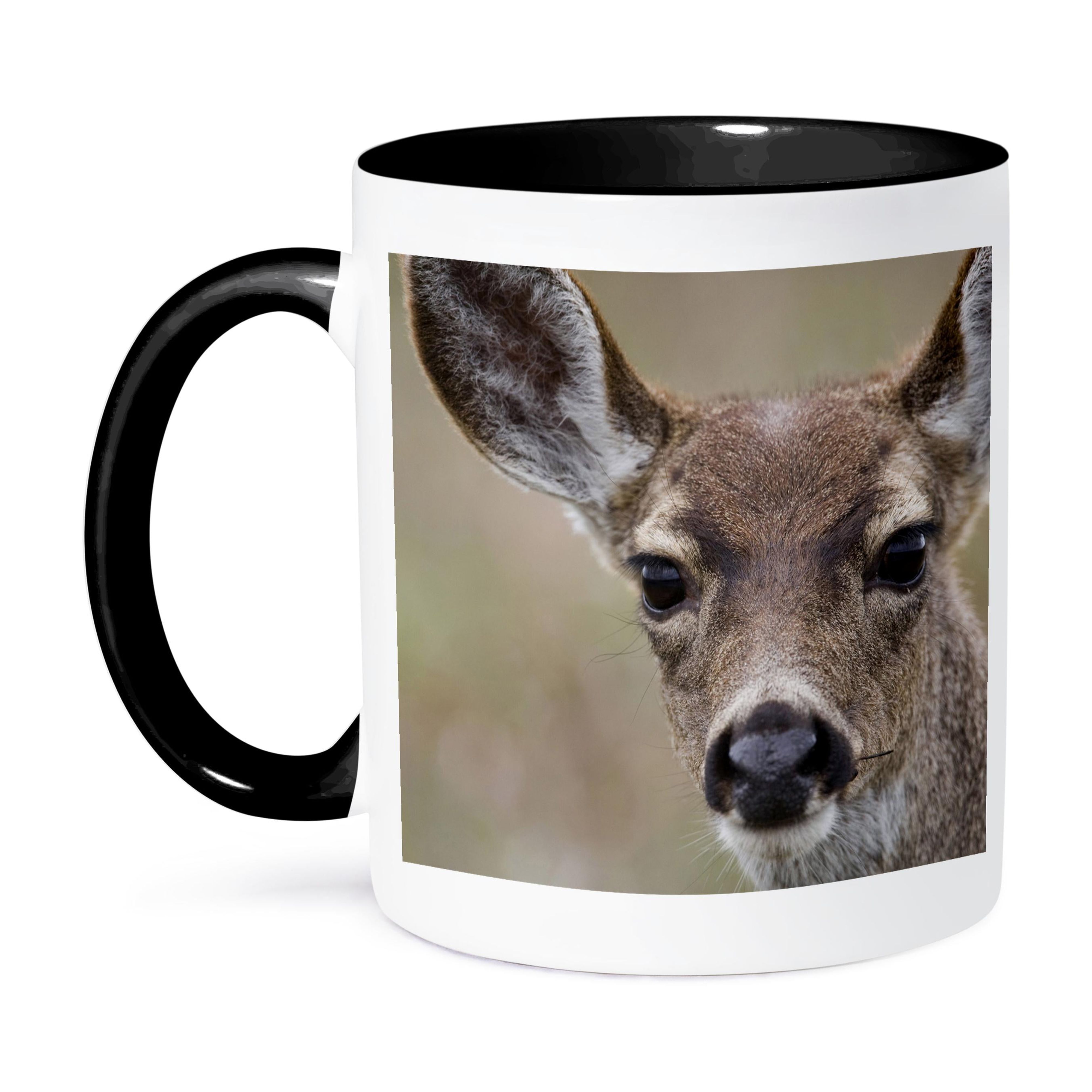 California, Point Reyes Seashore, Mule Deer - Us05 Rja0002 - Rebecca ...