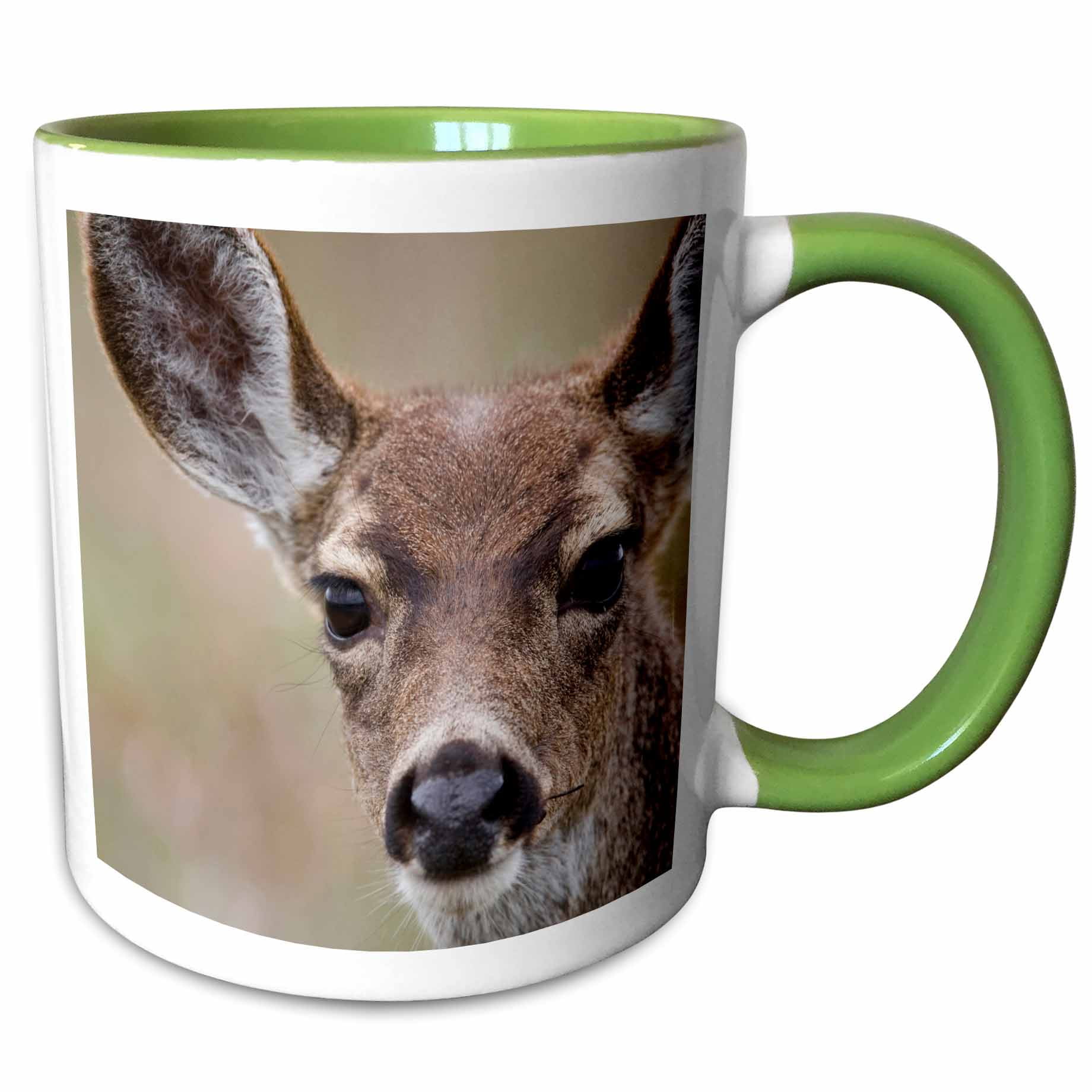 3drose, California, Point Reyes Seashore, Mule Deer - Us05 Rja0002 ...