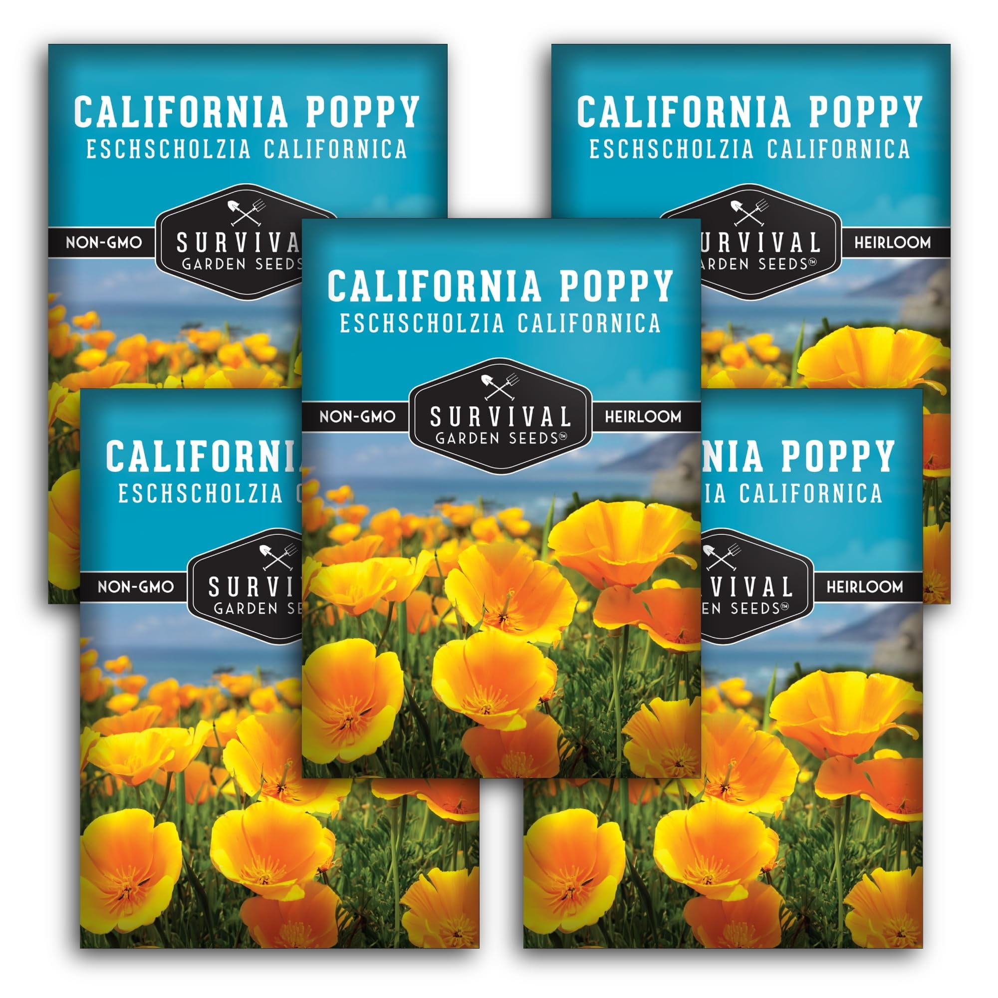 California Poppy - 5 Pack - Non-GMO Heirloom Wildflower Full Sun Annual ...