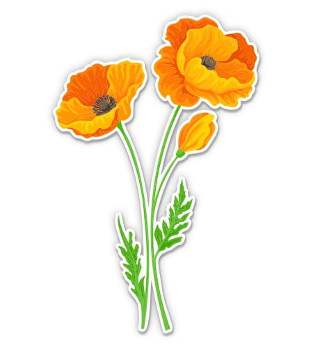 California Poppy Flowers Poppies - 3" Vinyl Sticker - For Car Laptop ...