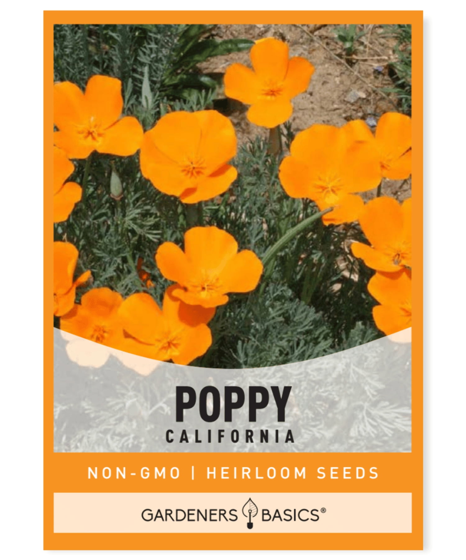 California Poppy Seeds - Walmart.com