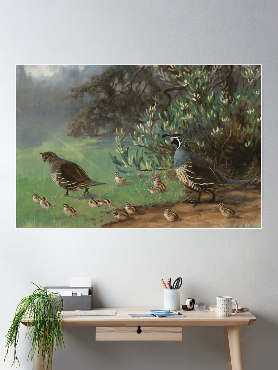 California Quail Poster Wall Art, Modern Wall Decor For Living Room ...