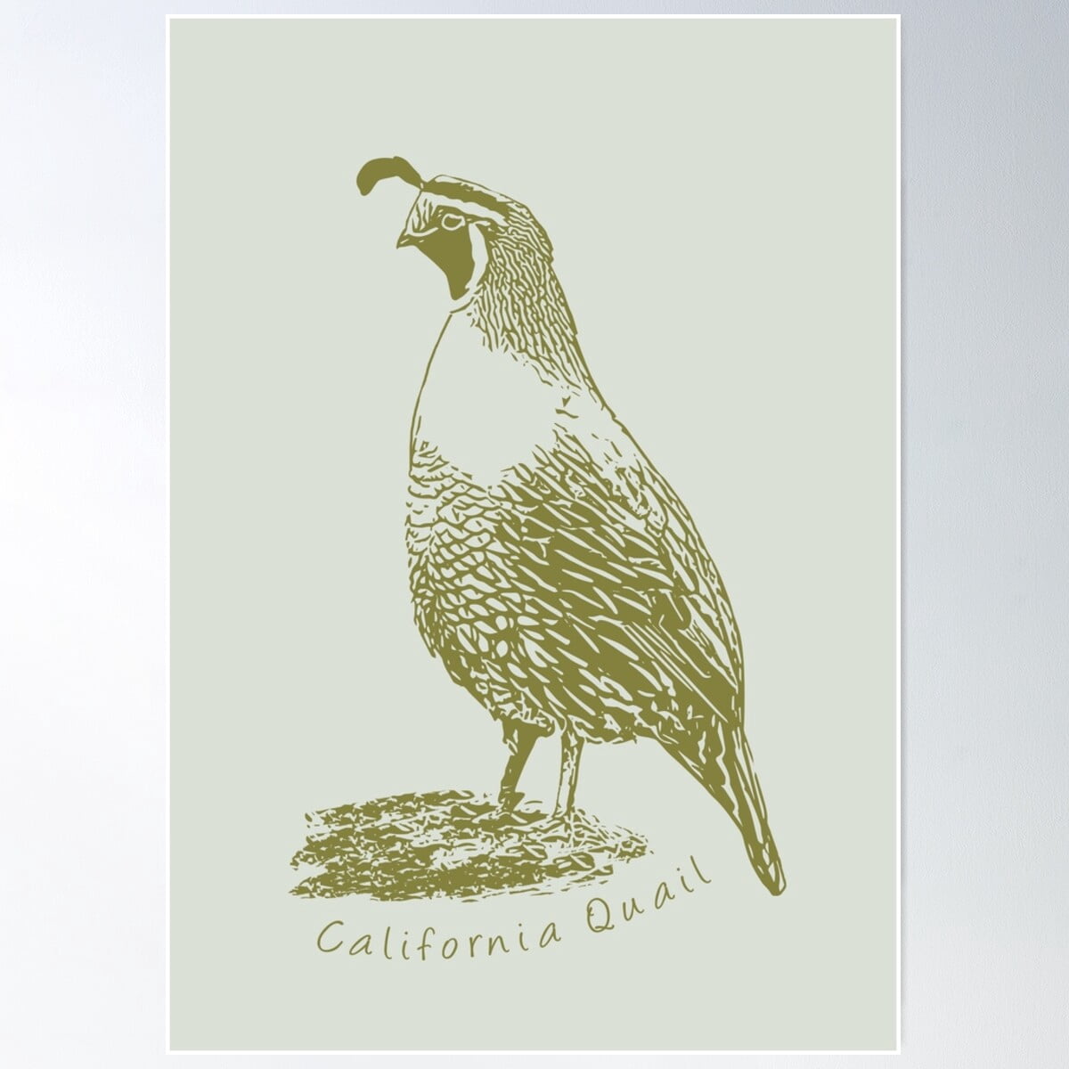 California Quail Poster Wall Art, Modern Wall Decor For Living Room ...