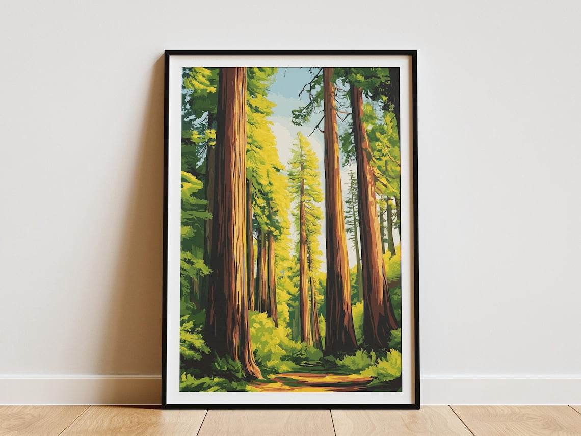 California Redwood Forest Tall Tree Coastal Nature Sierra Nevada ...