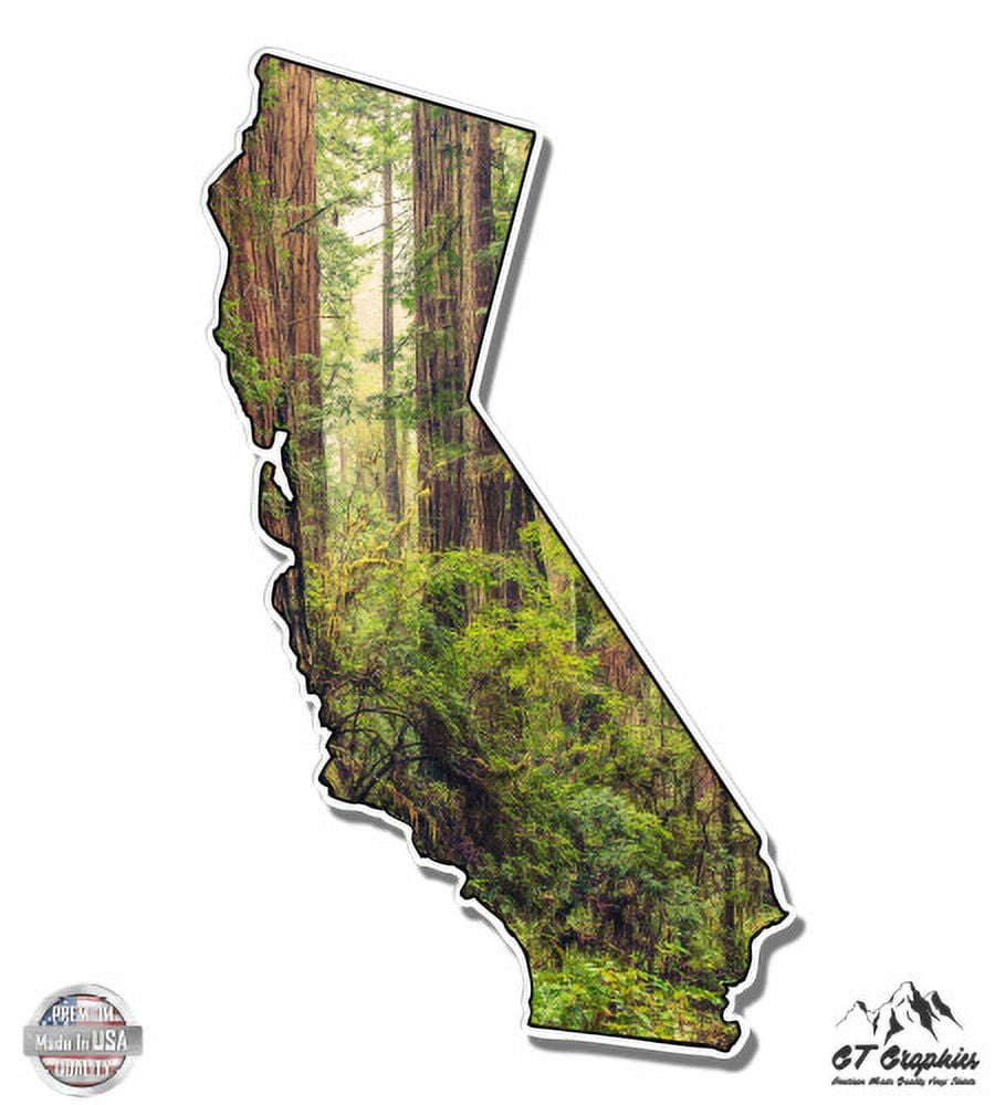California Redwoods Sequoia Trees Shape Nature Explore - 12" Vinyl ...