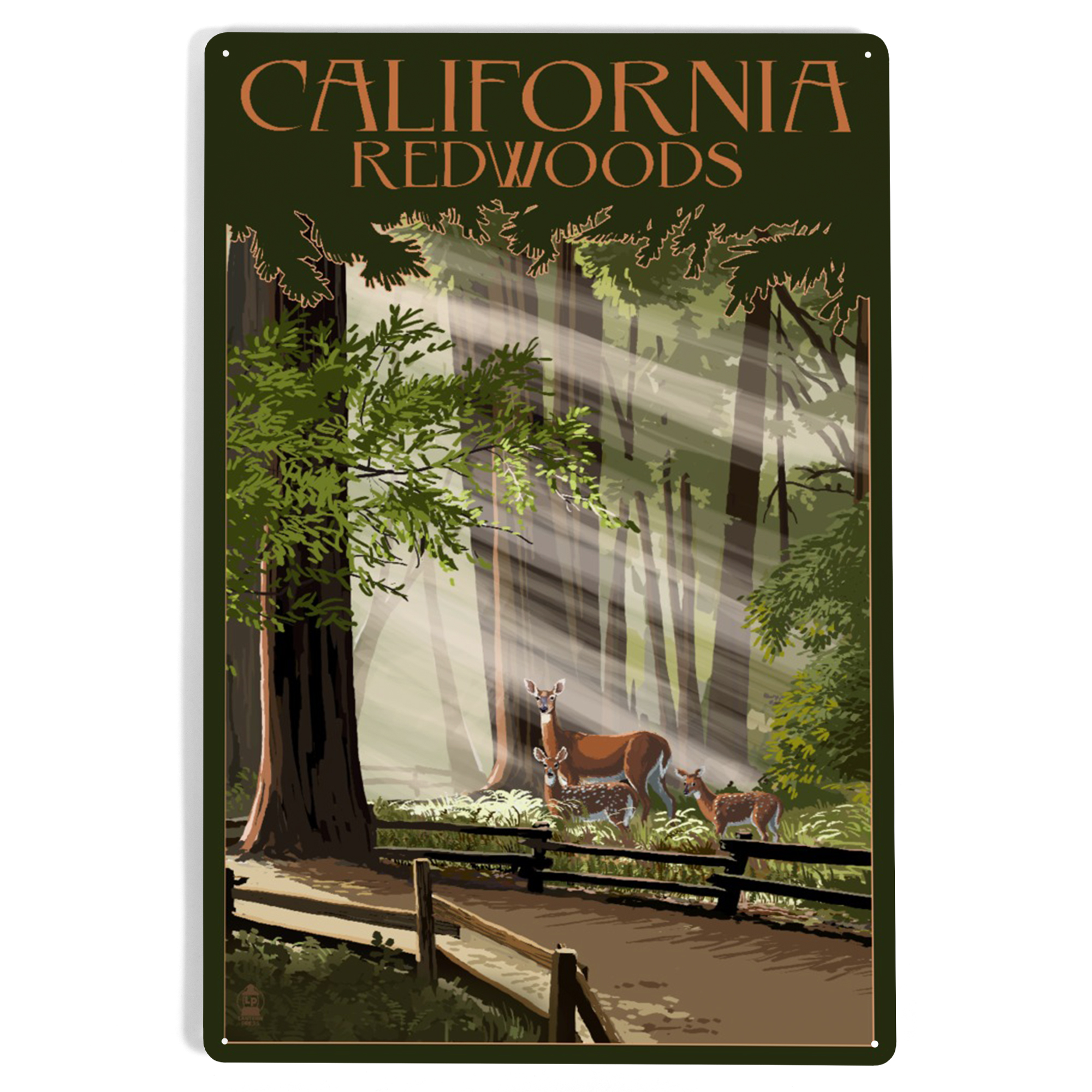 California, Redwoods and Deer (12x18 Aluminum Art, Indoor Outdoor Metal ...
