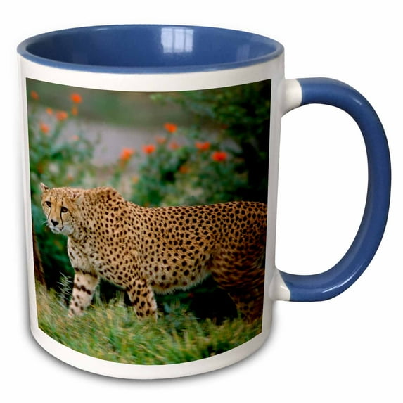 3drose, California, San Diego, Animal Park, Cheetah - Us05 Cmi0055 ...