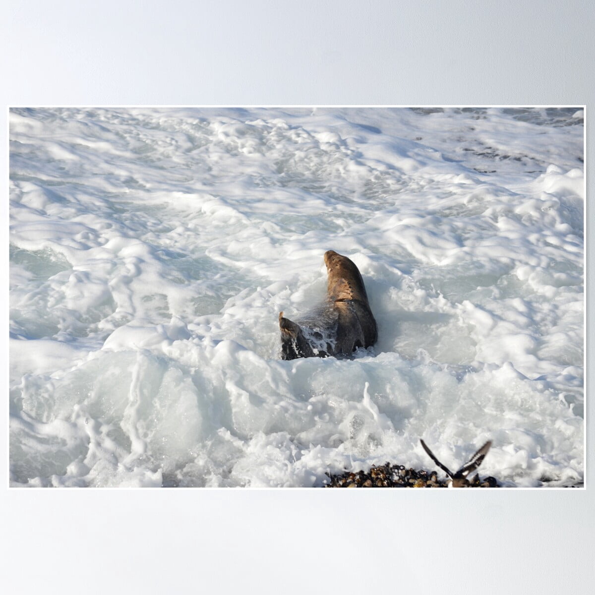 California Seal Poster Wall Art, Modern Wall Decor For Living Room ...