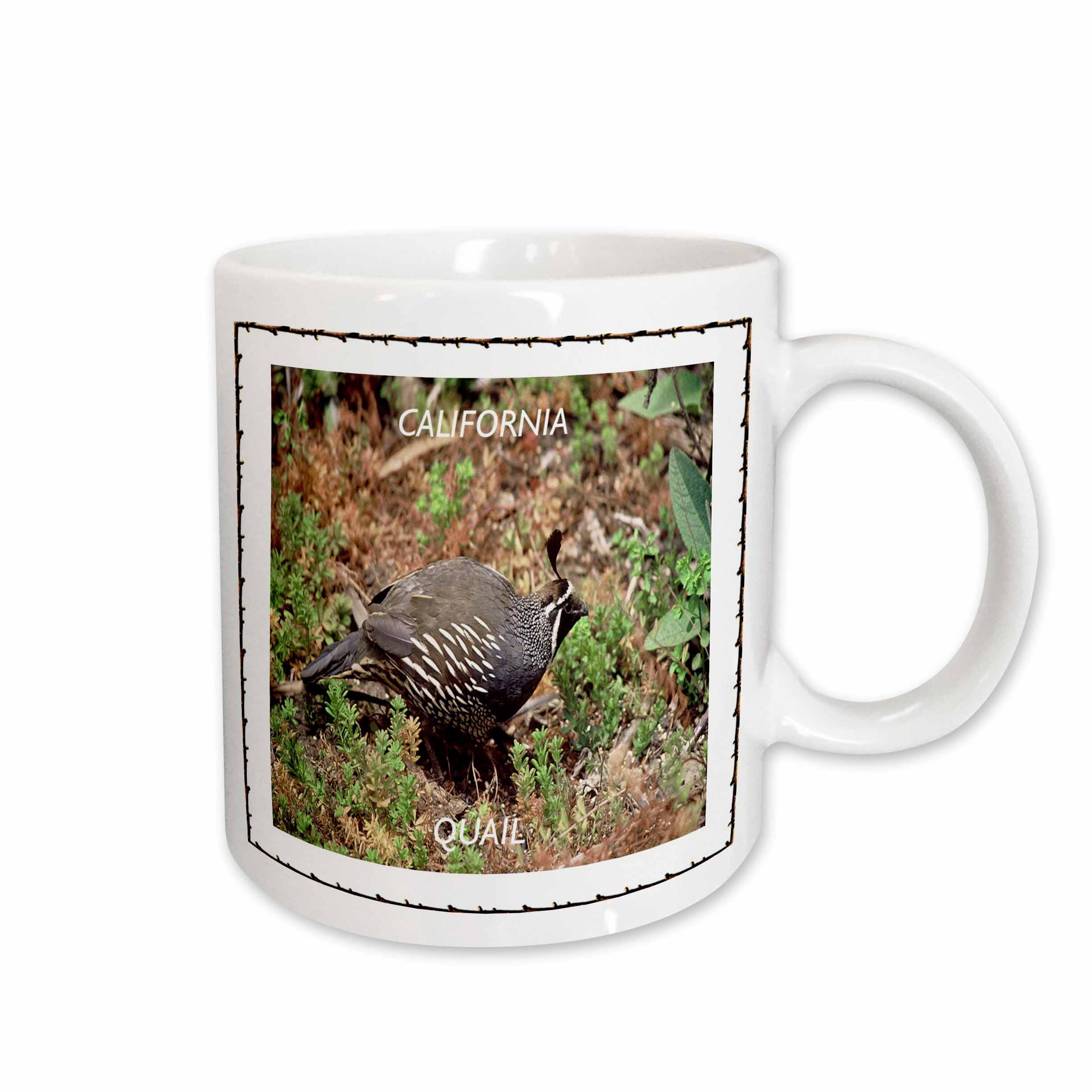 3drose, California State Bird Quail, 15oz Mug - Walmart.com