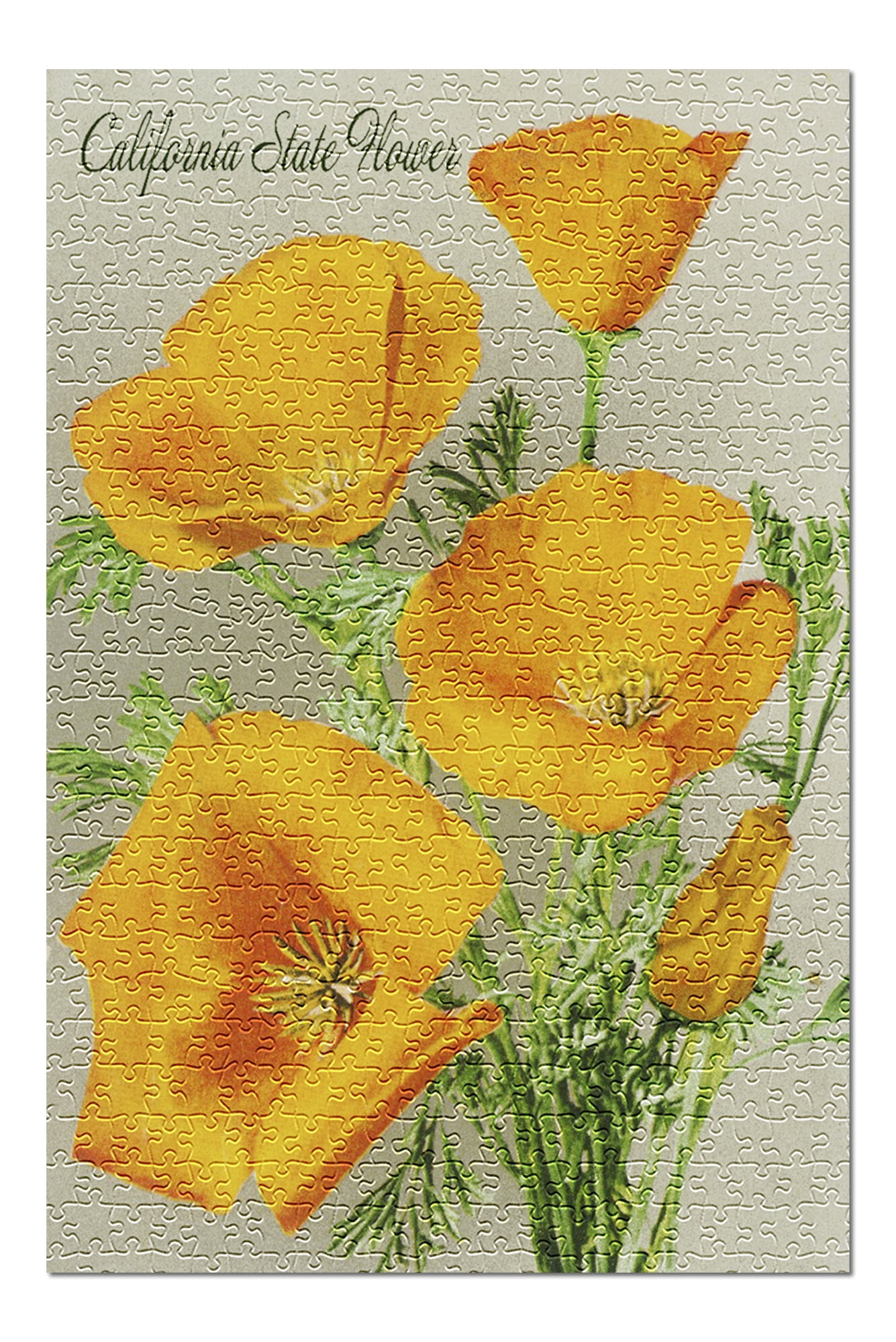California State Flower, The Californian, Poppy Flowers, 500 Piece ...