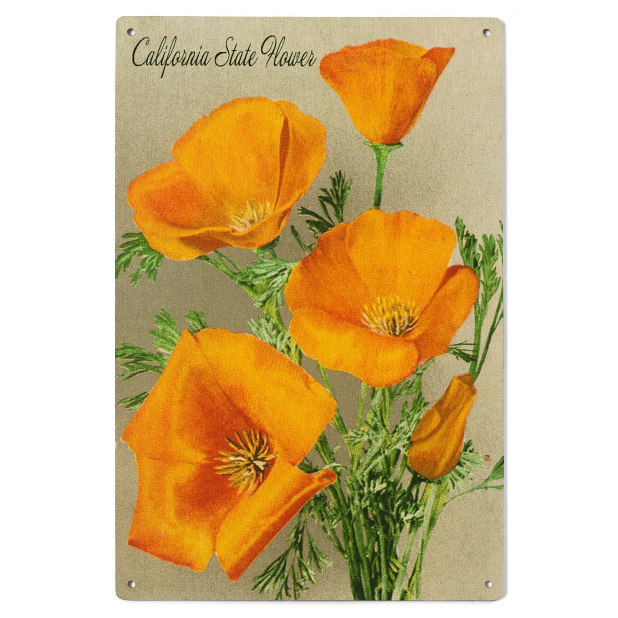 California State Flower, The Californian, Poppy Flowers Birch Wood Wall ...