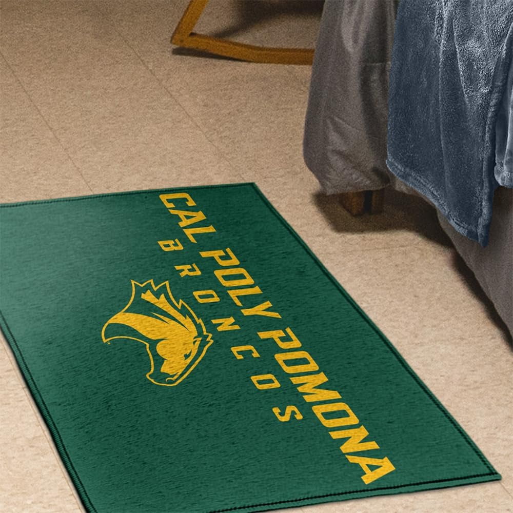 California State Polytechnic University Pomona Anti-Slip Indoor Door ...
