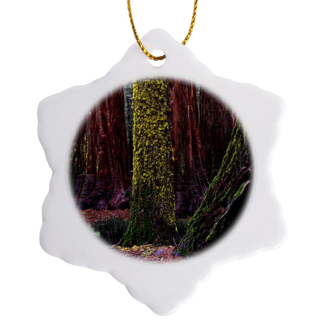 3drose, California, Yosemite Np, Giant Sequoia Trees - Us05 Gje0049 ...