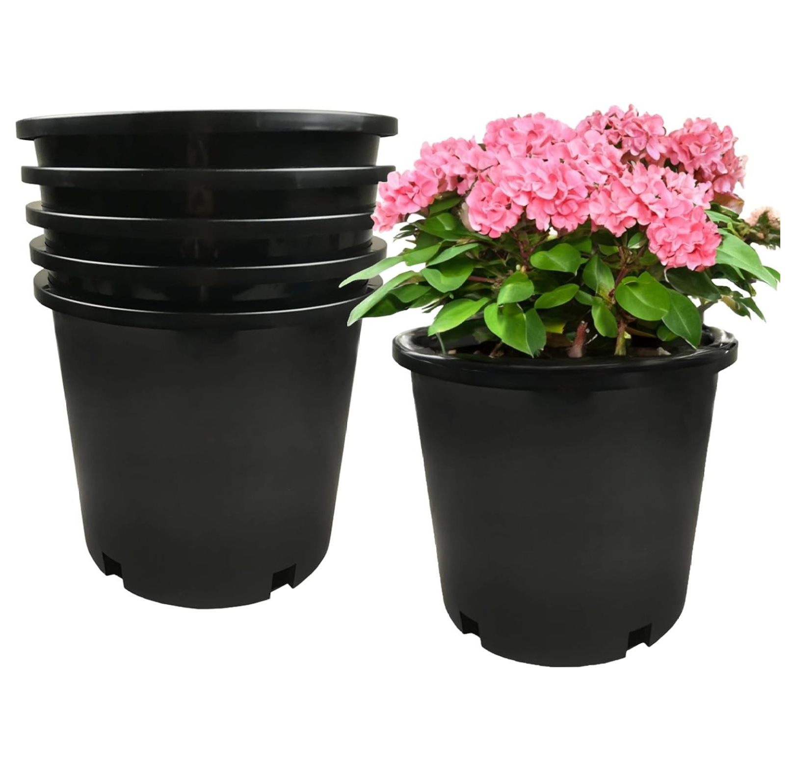Calipots 5-Pack 5 Gallon Premium Black Plastic Nursery Plant Container ...