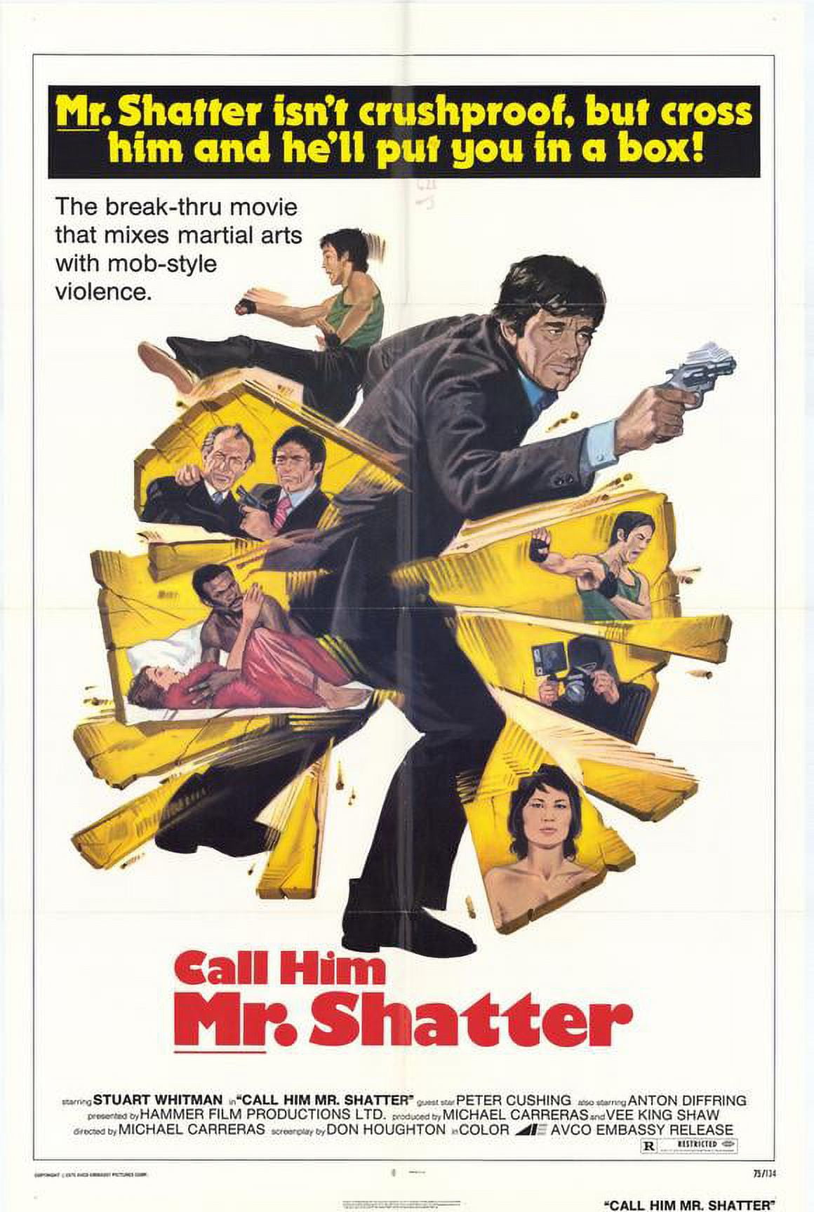Call Him Mr Shatter - movie POSTER (Style B) (11" x 17") (1975 ...