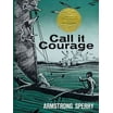 Call It Courage (Hardcover) - Walmart.com